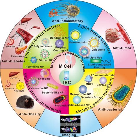 Vehicles Delivery Systems For Intestinal Lymphatic Drug Transport Using