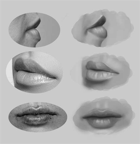 Mouth Study By Maesvdb On Deviantart