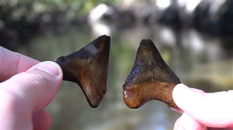 Todays Delicious Eye Candy Scrolller