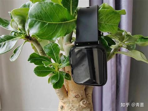 轻松减肥的好助手：dido P30轻体智能手表，定义全面健康时代 知乎