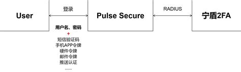 Pulse Secure Vpn登录添加otp动态口令二次认证（2fa双因素认证）otp 二次登录 Csdn博客