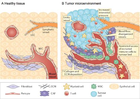 Bioprinting The Cancer Microenvironment Pmc