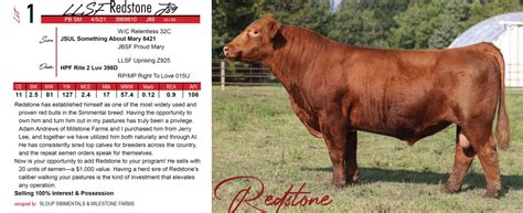 Lot 1 Sloup Simmentals The New Direction Sale Dvauction
