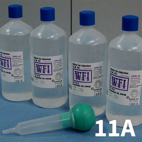 Exploratory Laparotomy In The Dog And Cat Clinicians Brief