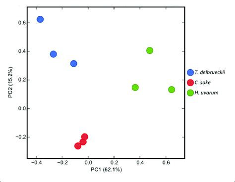 Rna Seq Pca