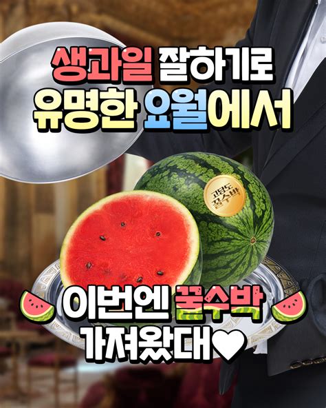 냠냠노트 🍉요거트월드에 여름 찰떡 신메뉴 등장 싱싱한 생수박요거트 아이스크림달콤 후르츠 토핑 조합으로 올 여름 더위는 이거면 끝났다 ️ 📍그리고 주목 7월 7일