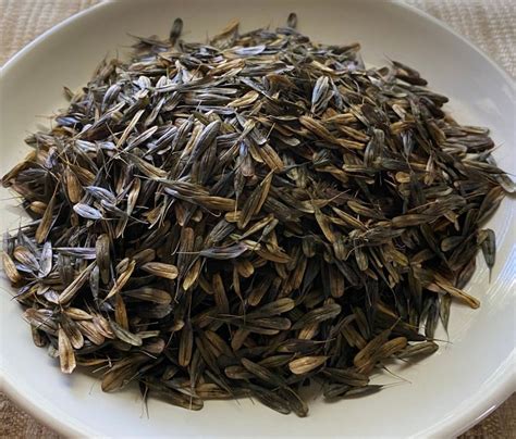 Health Benefits Of Woad Health Benefits