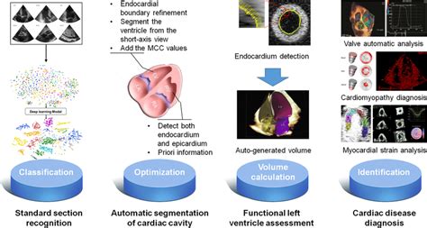 Application Of Artificial Intelligence In Echocardiography [12 15] Download Scientific Diagram