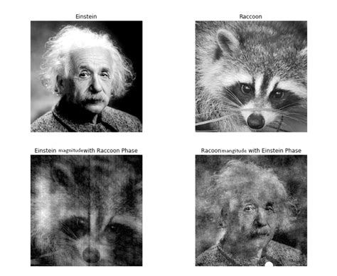 Image Processing Why In 2d Fourier Transform Phase Seems To Be More