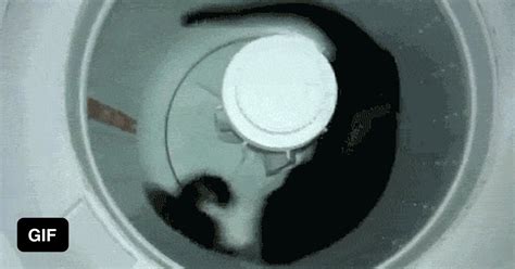 Make This The New Loading Gif 9GAG