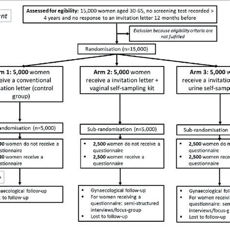 Hybrid Effectiveness Implementation Trials Download Scientific Diagram