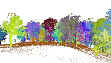 3d Forest Terrestrial Lidar Data Processing Tool