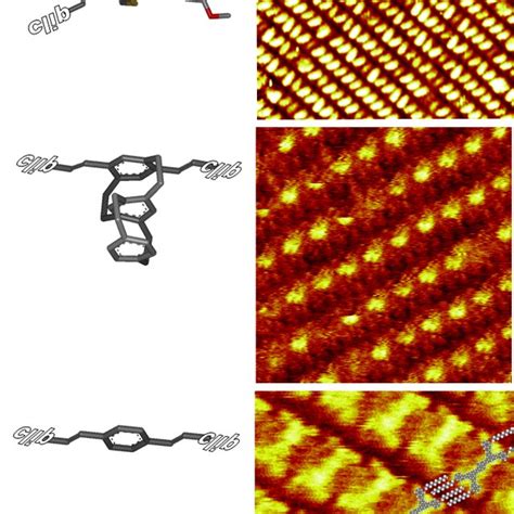 Self−assembly Of Three−dimensionnal Molecular Building Blocks A Stm
