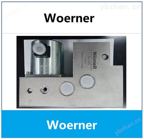 Woerner 仪表网