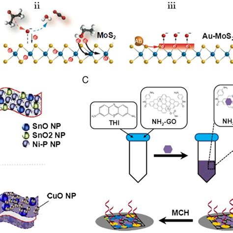 Nanocomposite‐based Electrochemical Sensors A The Functioning Download Scientific Diagram