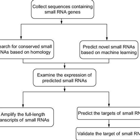 A Simple Flowchart For Identifying Small Rna Genes Download