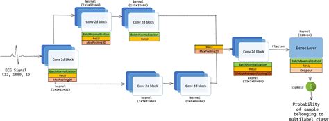 Exploring Interpretable Ai Methods For Ecg Data Classification