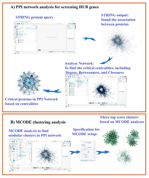 the methodology for screening hub genes through analyzing centralities