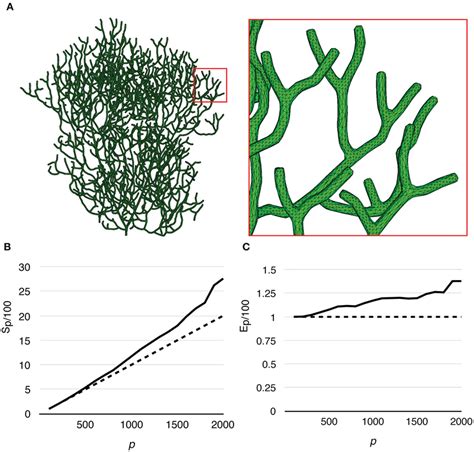 Performance Of A Reaction Diffusion Simulation With A Mesh Of A Download Scientific Diagram