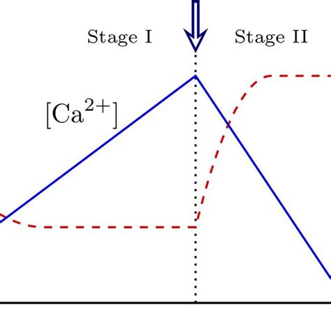 Schematic Overview Of The Proposed Two Stage Limestone Download Scientific Diagram