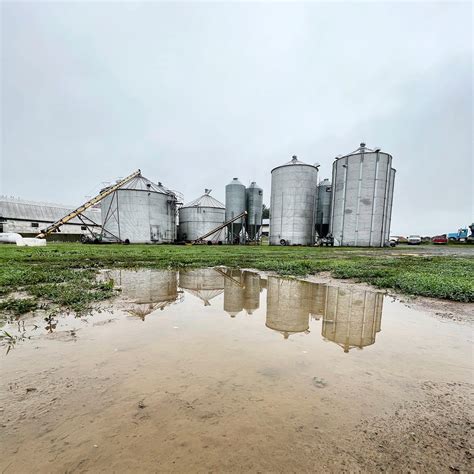 Grateful To See Some Rain Come Ernst Grain And Livestock