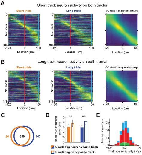 Figures And Data In Representation Of Visual Landmarks In Retrosplenial