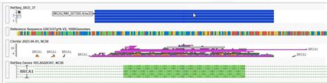 Data Viewing With Varseq Plotting Tracks The Golden Helix Blog