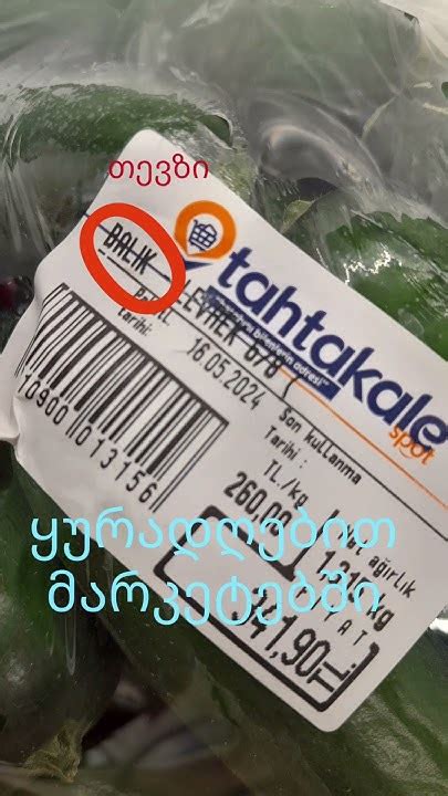 კიტრი თევზის ფასად Youtube