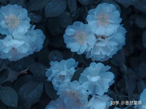 绝对不能错过的神级辩论赛《钱是不是万恶之源》神仙金句 知乎 绝对不能错过的神级辩论赛《钱是不是万恶之源》神仙金句 知乎