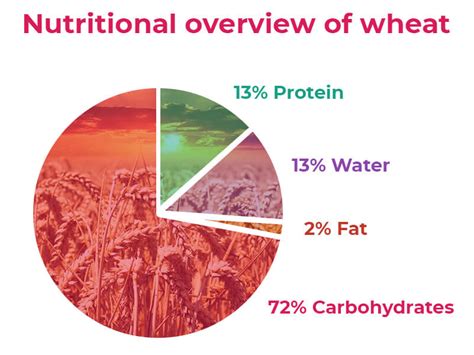 Wheat Intolerance Test My Intolerance Allergy Testing Intolerance Testing