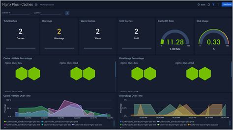 nginx plus