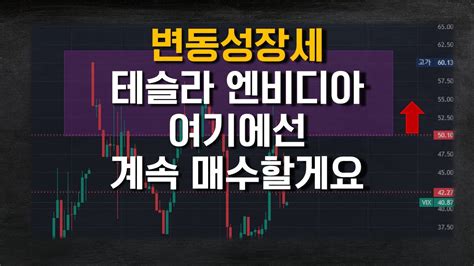 나스닥 변동성에 지친 분들 테슬라 엔비디아 기준만 잡고 매수하세요 Youtube