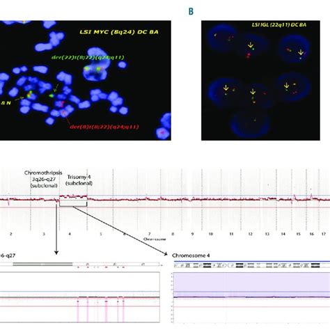 Fluorescence In Situ Hybridization And Single Nucleotide Polymorphism Download Scientific