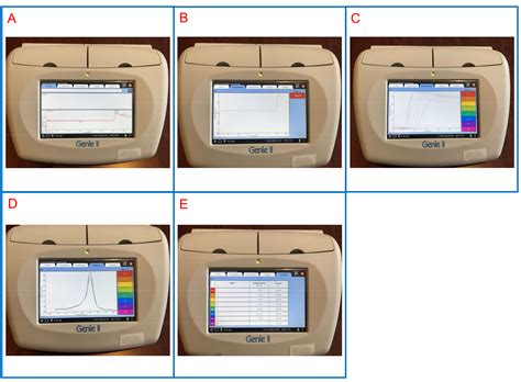 Video Loop Mediated Isothermal Amplification For Screening Salmonella