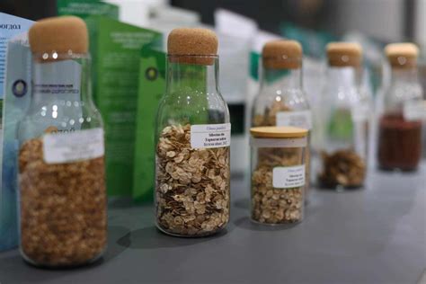 “Тэрбум мод” үндэсний хөдөлгөөн эхэлснээс хойш “Эрдэнэт үйлдвэр” ТӨҮГ 3 4 сая мод тарьжээ