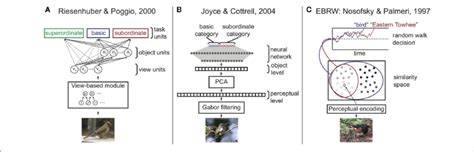 Illustration Of Three Computational Models Of Visual Object