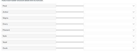 Solved Match Each Flower Structure Below With Its Functio