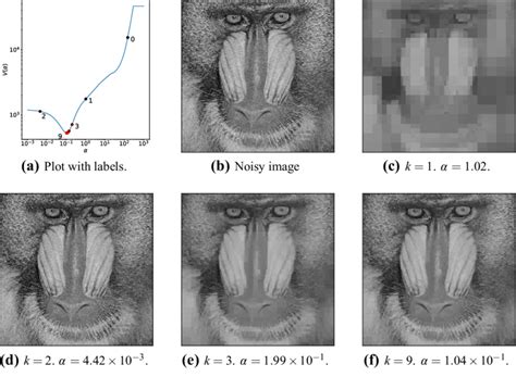 Haar Wavelet Denoising With · · 2 Scoring Function And The Itoh Abe
