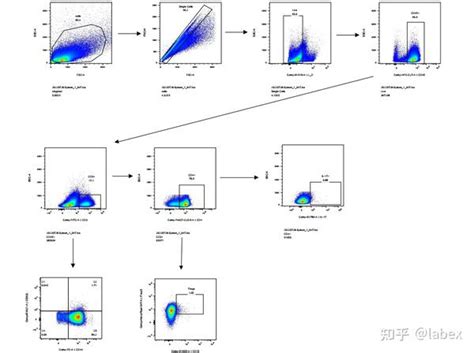 Labex 流式服务实例分享——小鼠脾脏的9色分析 知乎