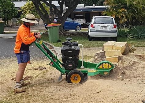 Stump Grinding Brisbane Tree Guys