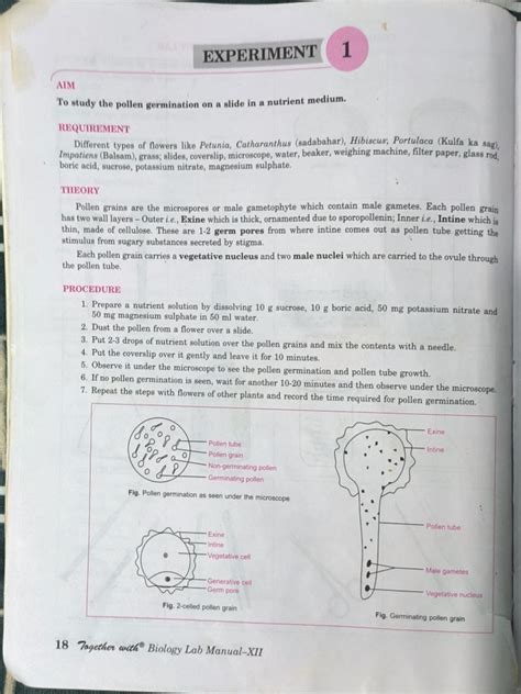 Bio Practicals Pdf Pdf