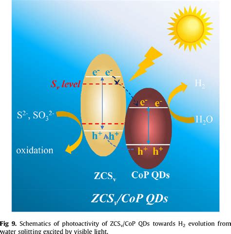 Photogenerated Charge Carriers Moreover The Photocurrent Density Of Download Scientific