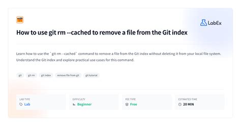 How to use git rm --cached to remove a file from the Git index | LabEx