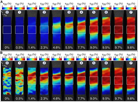 Selected Frames From The Dic Strain Analysis For Sample 1 The Strain