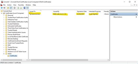 Create Windows Ca Code Signing Certificates For Wsus