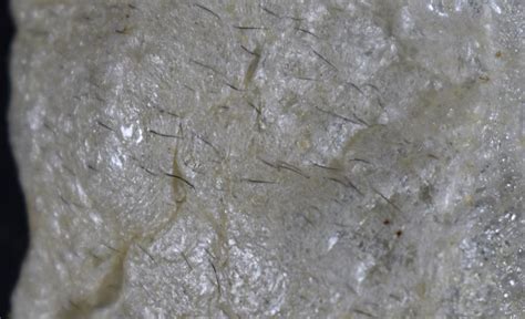 Shrimp Crisp Detection Classification Dataset And Pre Trained Model By