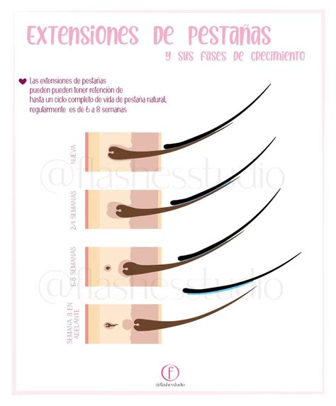 Crecimiento De Extensiones 💖ig Flashesoficial Longitudes De