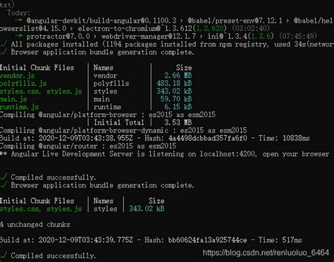 Angular项目环境搭建 源码巴士