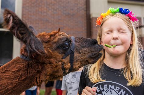 Lincoln Man Sentenced For Making Sex Video With 16 Year Old