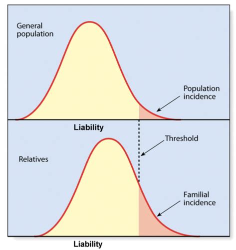 Lecture 2 Multifactorial Inheritance Flashcards Quizlet